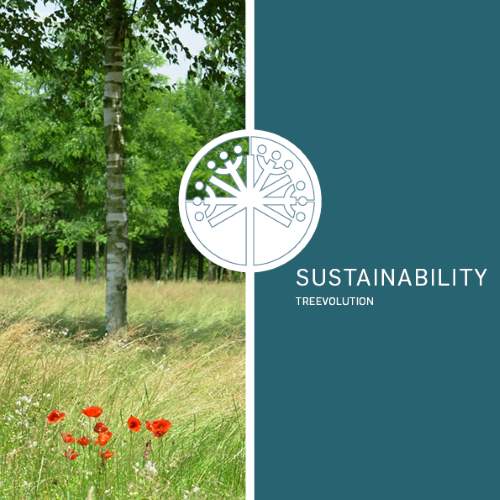 Treevolution - Working on trees for the future